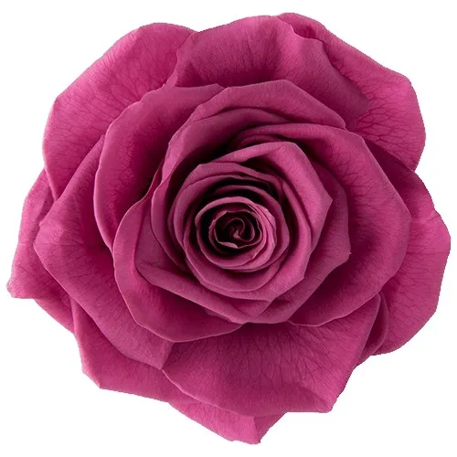 ★VERMEILLE INES 中玫瑰 豆沙粉 ROSE WINE