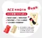 ACE 無糖Q 可樂軟糖 44g/袋 比利時軟糖 ACE軟糖 軟糖 無糖軟糖