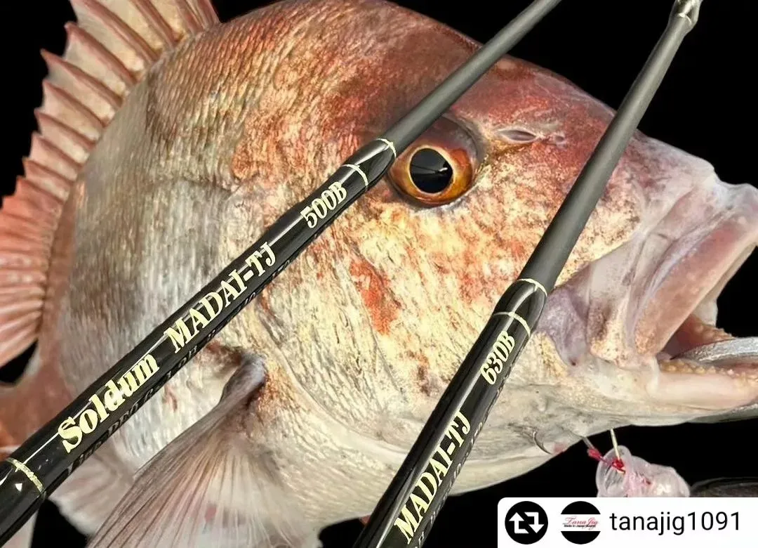 HISHIMO SOLDUM GHOST MADAI-TJ630B 游動丸竿