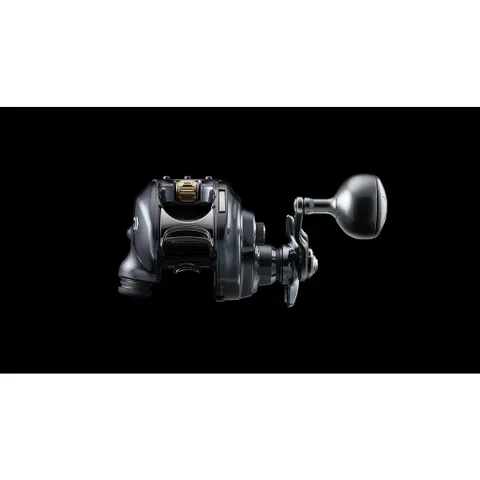 22年 Daiwa SEABORG 200J 200JL 200J-DH 200JL-DH 電捲 電動捲線器