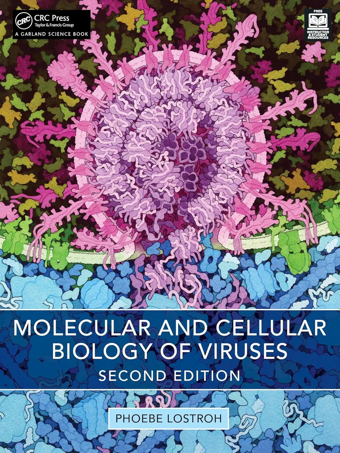 Molecular and Cellular Biology of Viruses