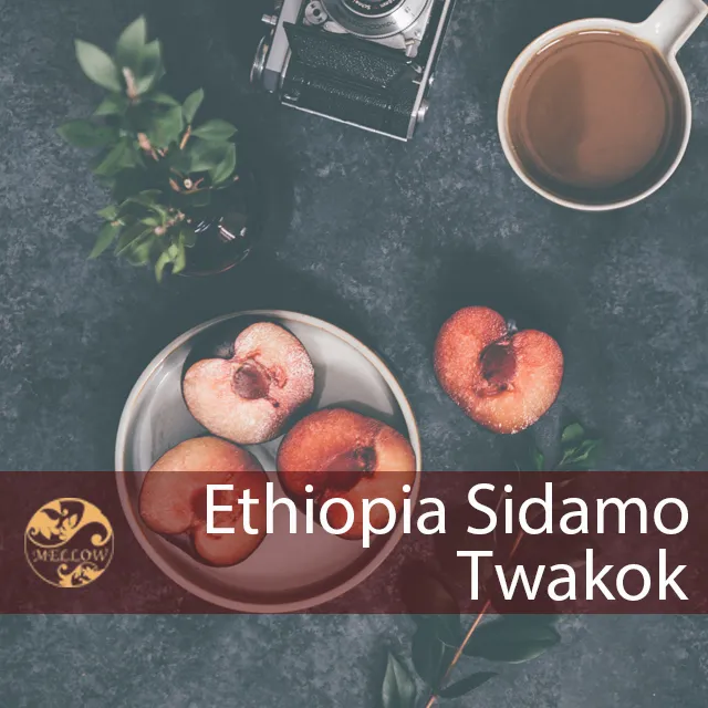 Ethiopia Washed Sidamo Twakok 衣索比亞