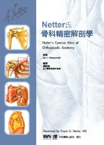 Netter氏骨科精密解剖學