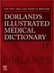 Dorland's Illustrated Medical Dictionary
