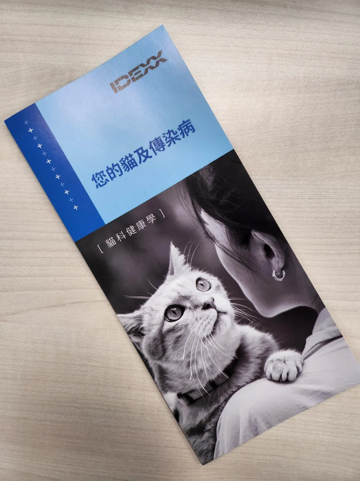 SNAP Feline Triple 您的貓及傳染病折頁