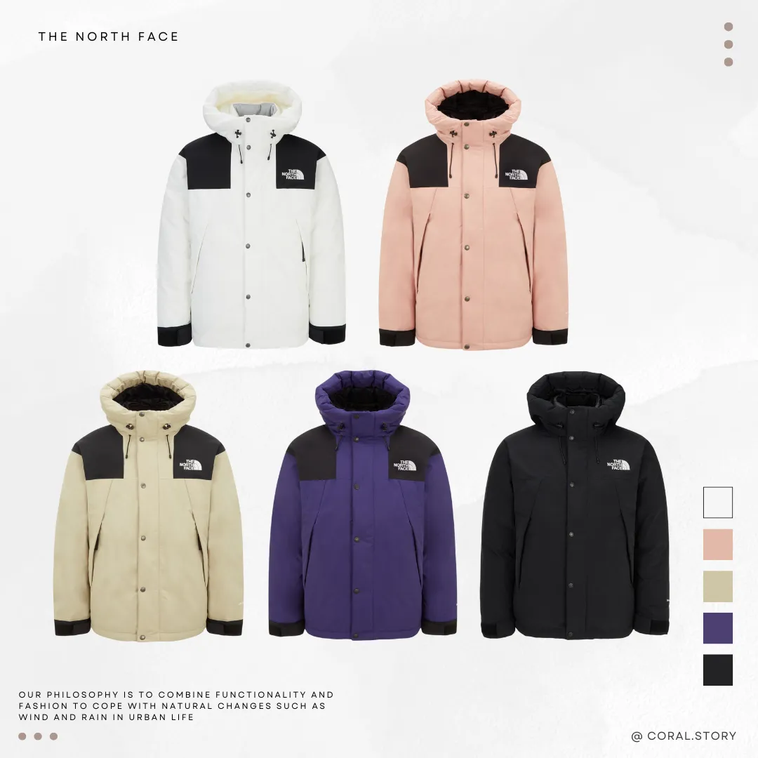 THE NORTH FACE M'S MOUNTAIN DOWN JACKET RDS 連帽防風羽絨外套 NJ1DQ04